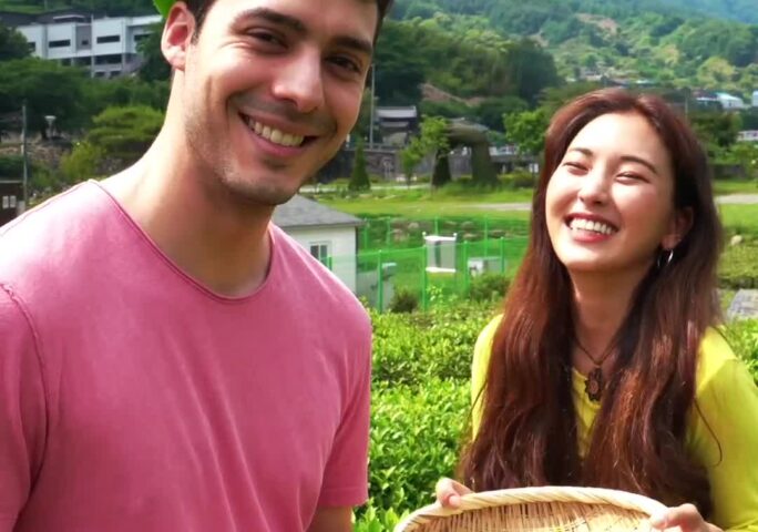 7 Best Things to Do in Hadong, South Korea | tea | travel | korea ...