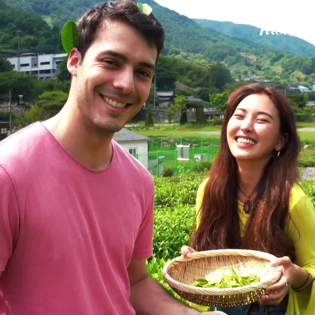 7 Best Things to Do in Hadong, South Korea | tea | travel | korea ...