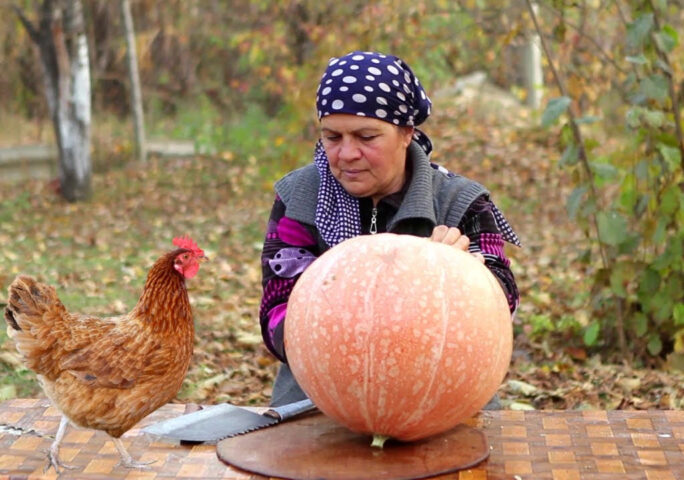 Pumpkin Pilaf with Dry Fruits on Campfire | pumpkin | pilaf | Taste Life