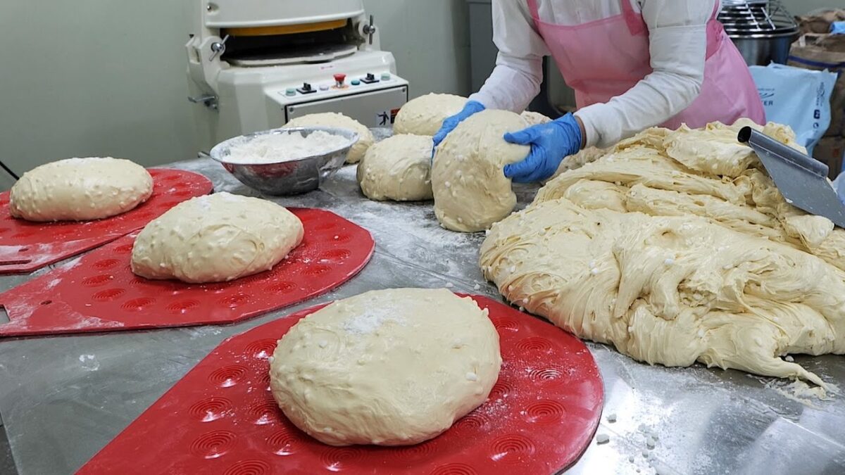 Belgian Waffle Making in Waffle Factory / Korean Waffle Shop | wafle ...