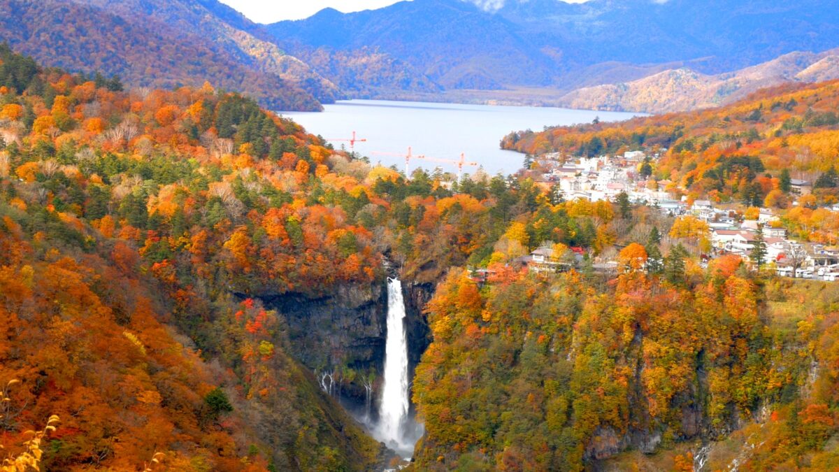 Beautiful Japan with Relaxing Japanese Zen Music | Taste Life